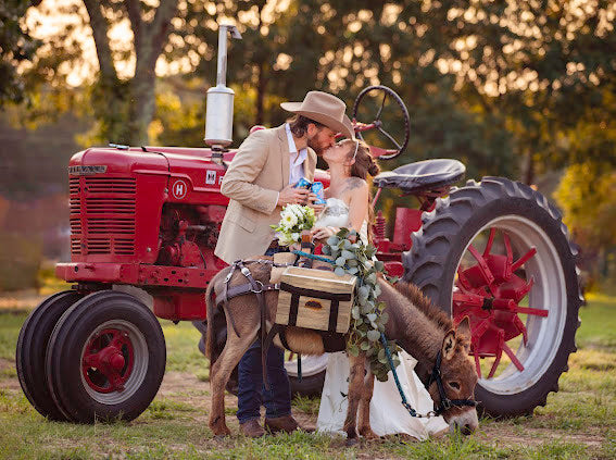 Mini Beverage Burro Package: Nylon/Biothane Pack Saddle – Mountain ...