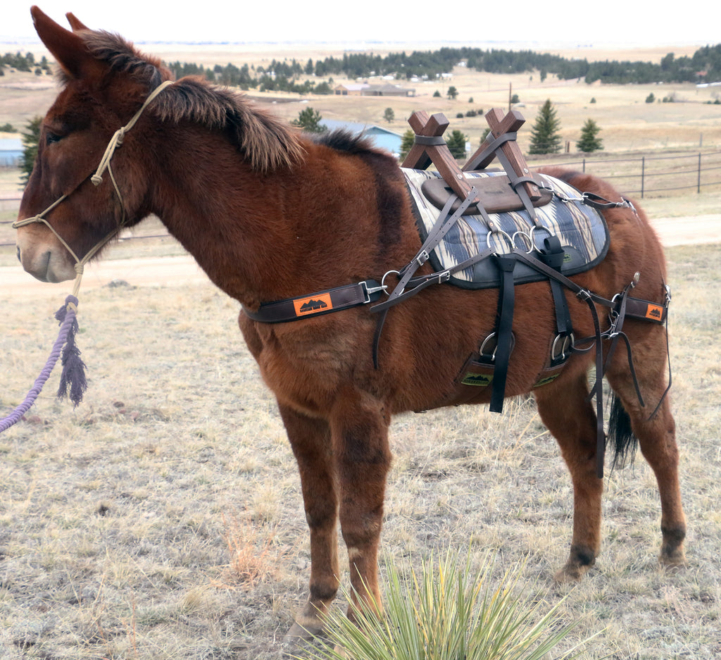 Pack Saddle - Sawbuck – Mountain Ridge Gear