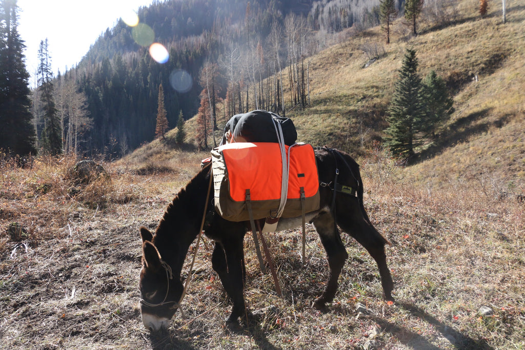 Riding Saddle Panniers for Hunters | XL Hunting Pannier – Mountain ...